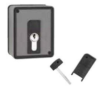 DECLUTCH KEY SWITCH SOMFY | Somfy